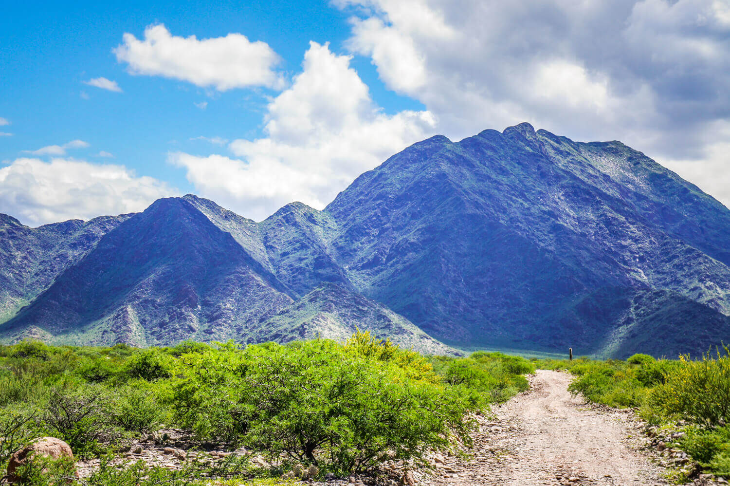 A ROADTRIP THROUGH ARGENTINA'S AMAZING SALTA PROVINCE - You Should Go Here